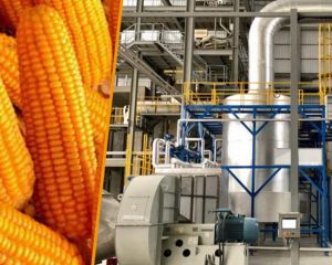 corn starch manufacturing process, corn starch making plant, how to get ...