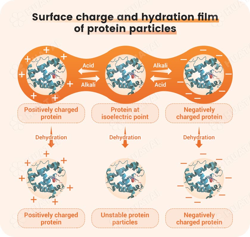Industrial Feed Protein Processing